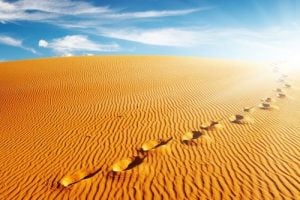 | Footsteps – Charting Our Way Forward